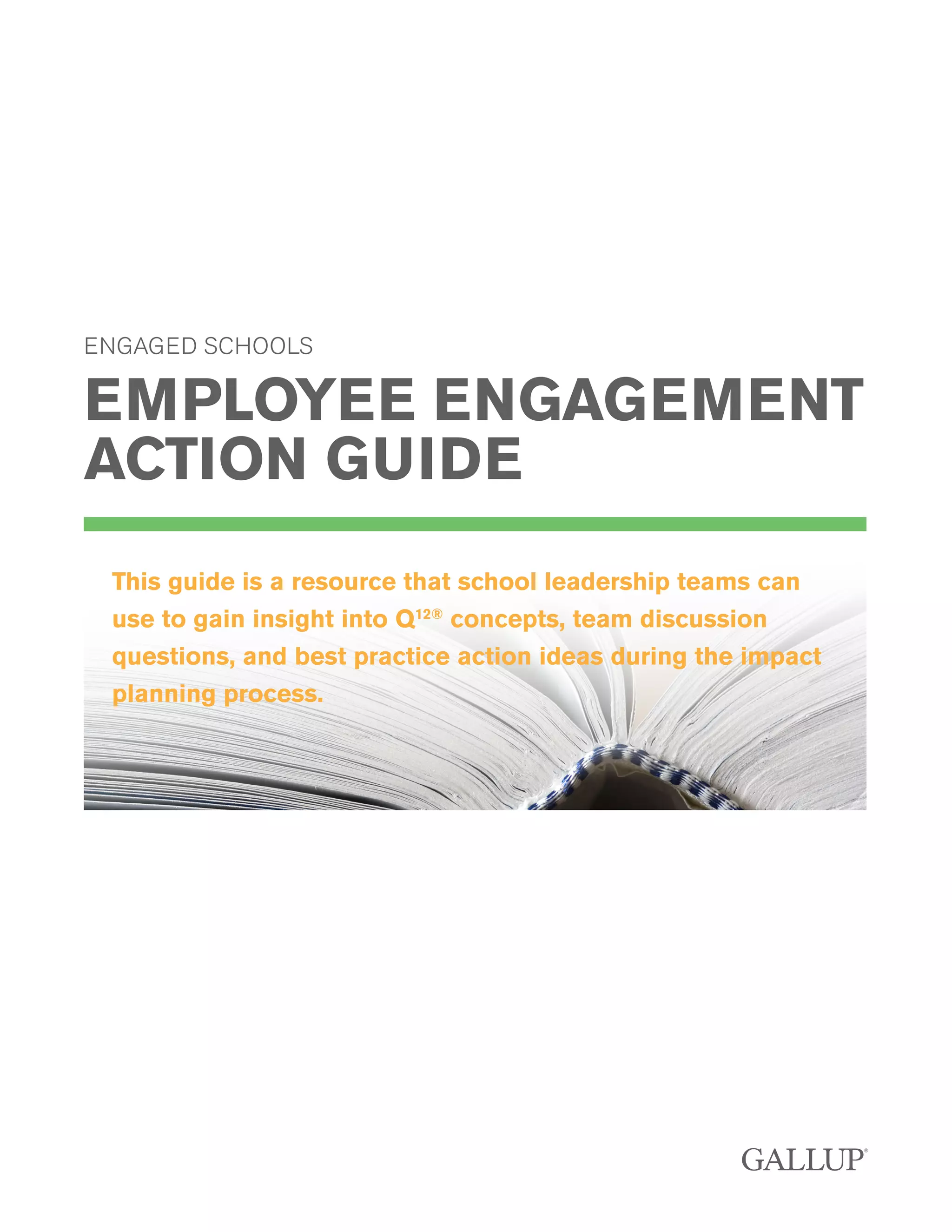 12 Engagement Action Plan | PDF