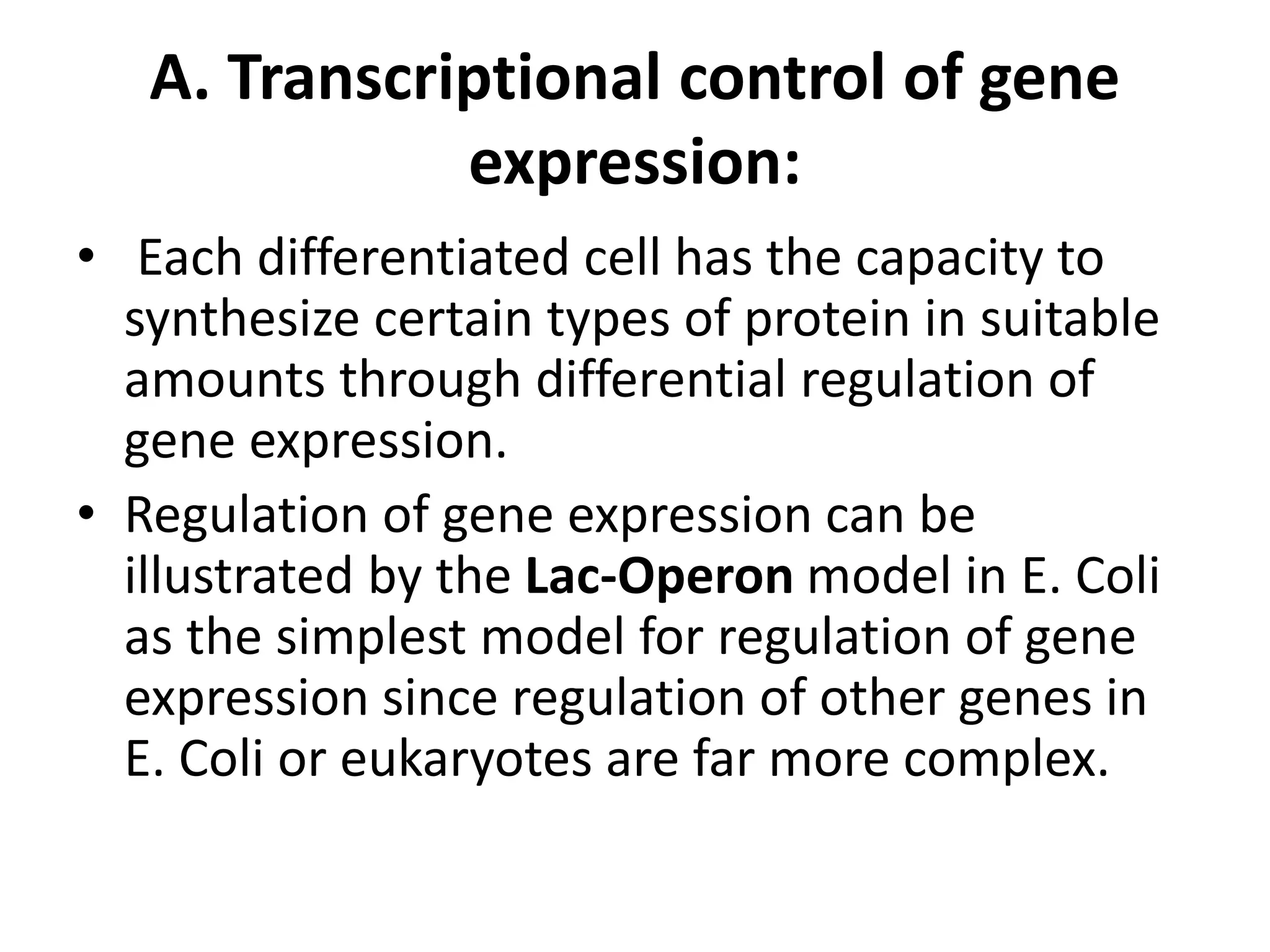 12 Regulation of gene expression.pdf