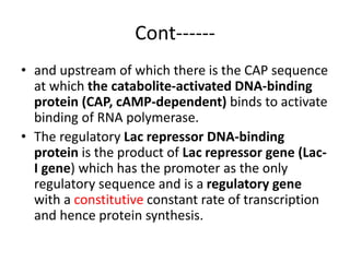 12 Regulation of gene expression.pdf