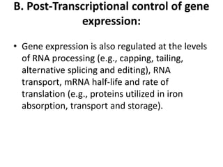 12 Regulation of gene expression.pdf