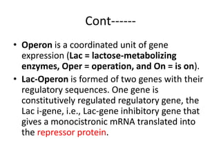 12 Regulation of gene expression.pdf