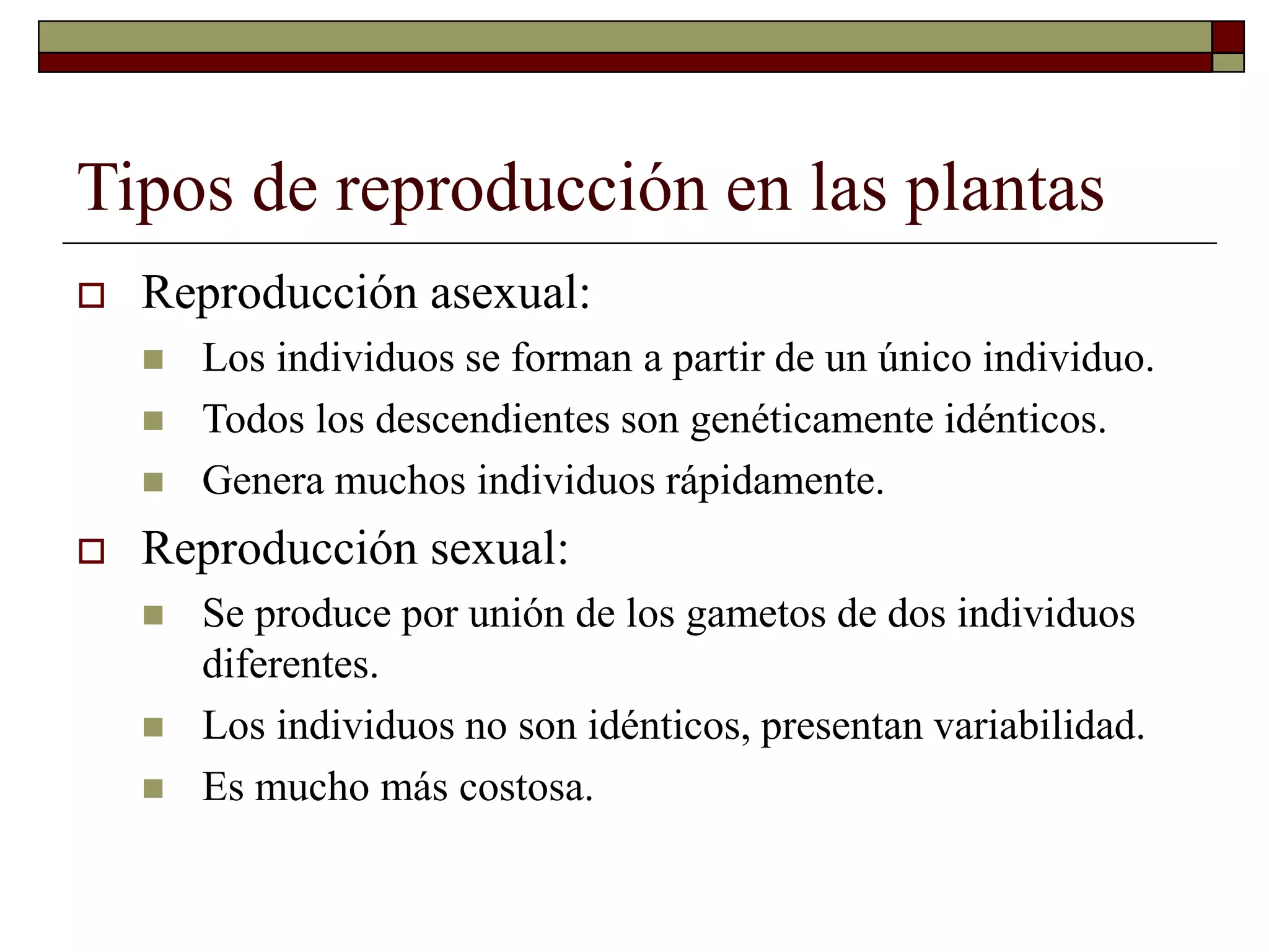 12_reproduccion_plantas.ppt