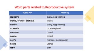 12 Reproductive system.pdfkkkkkkkkkkkkkk | PDF