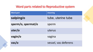 12 Reproductive system.pdf11111111111111 | PPT