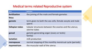 12 Reproductive system.pdf11111111111111 | PPT