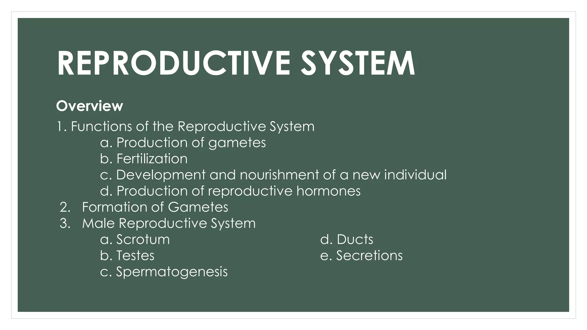 12_Reproductive System_1.pdf