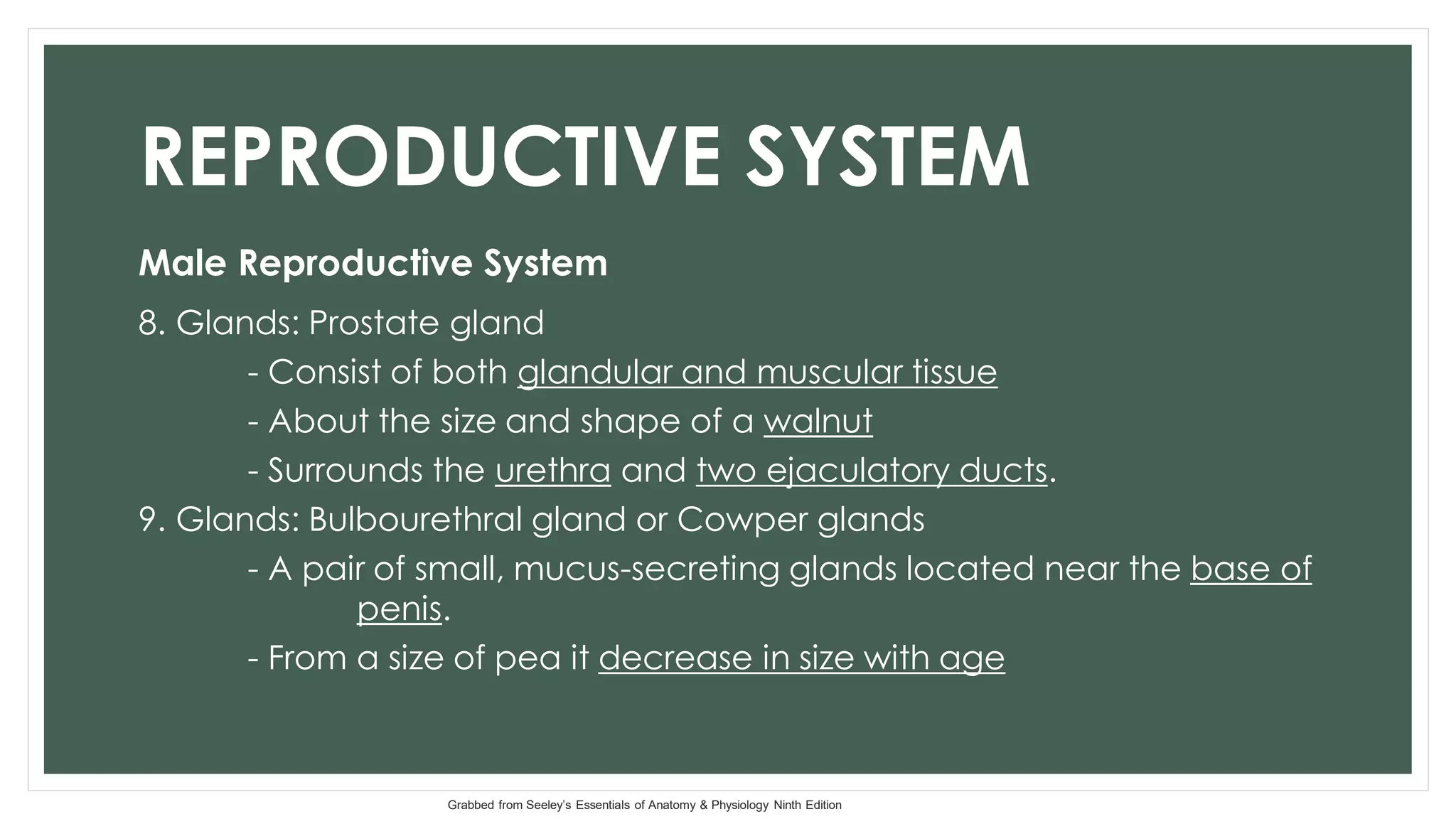 12_Reproductive System_1.pdf