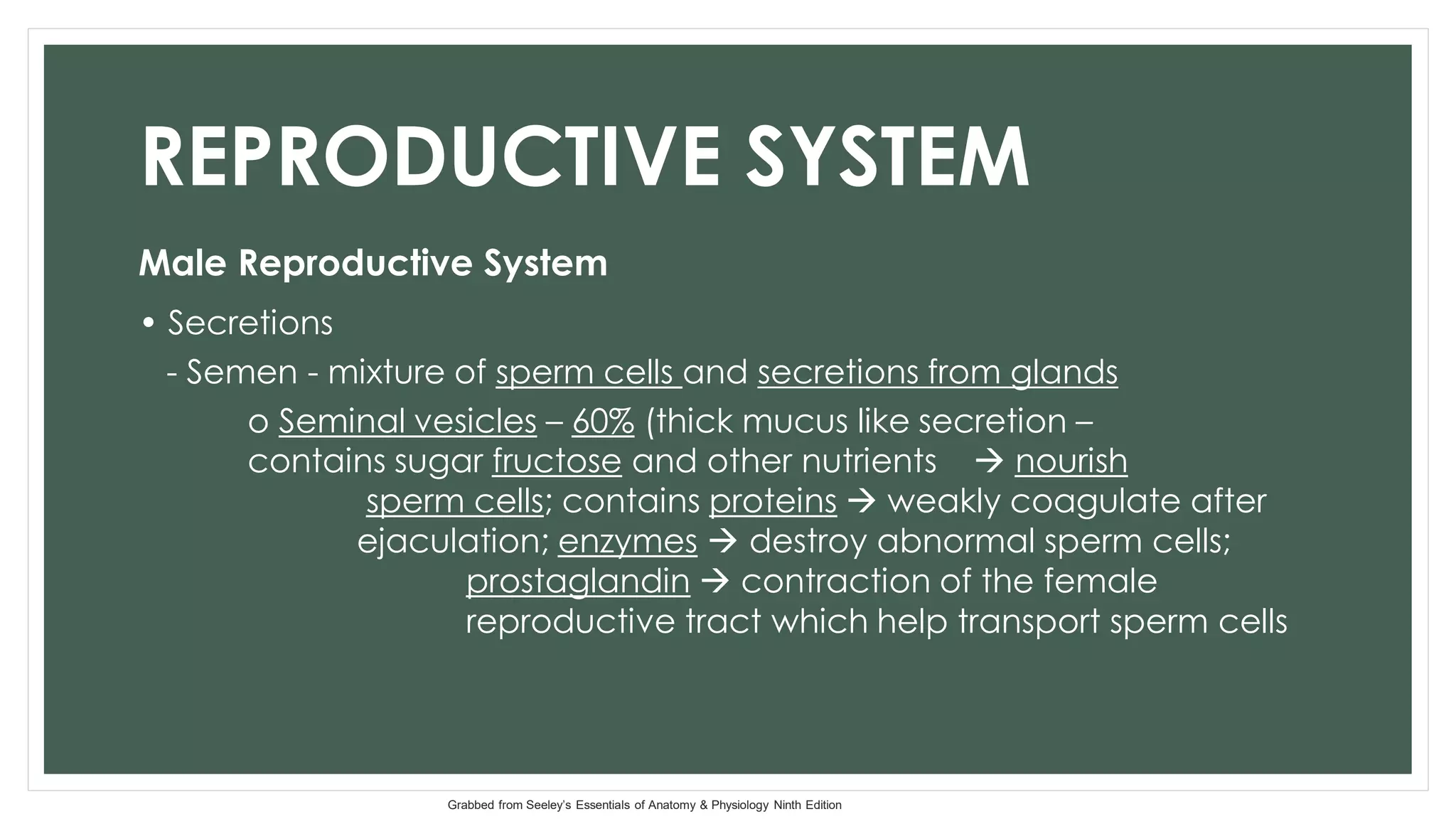 12_Reproductive System_1.pdf