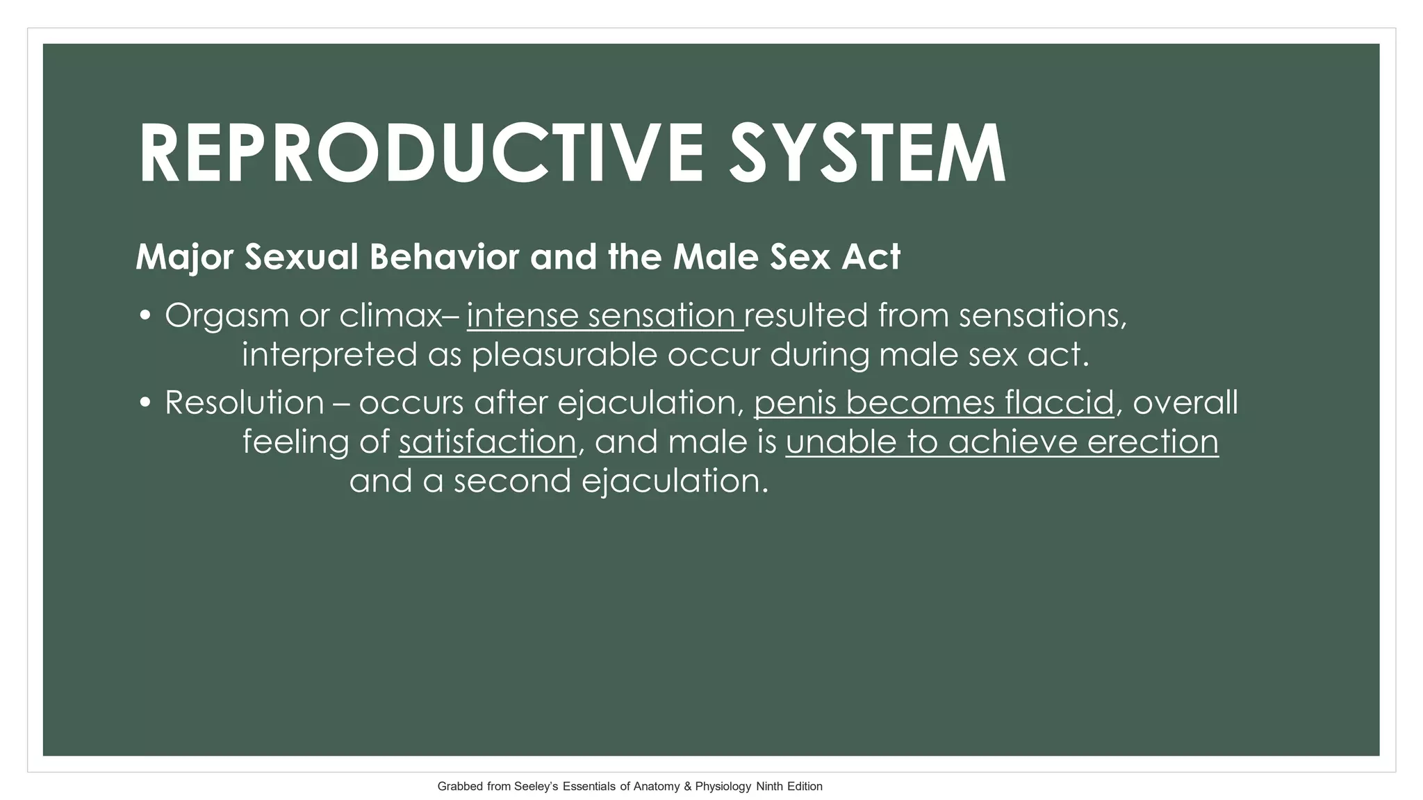 12_Reproductive System_1.pdf