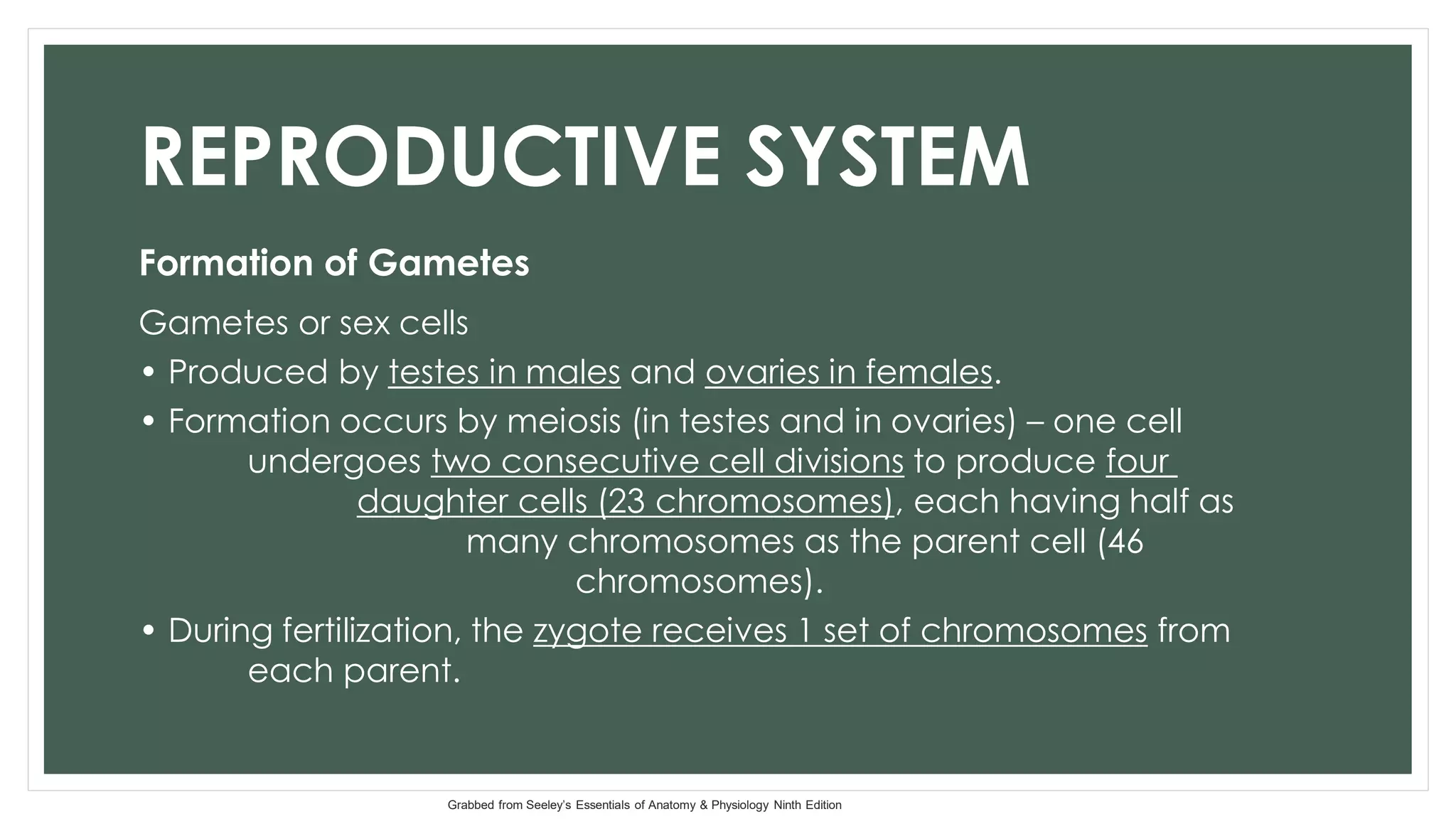 12_Reproductive System_1.pdf