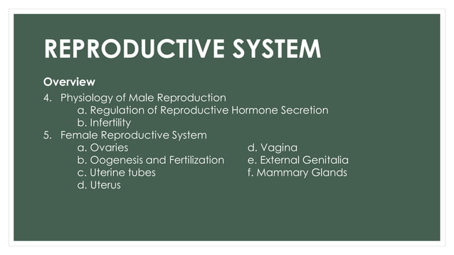12_Reproductive System_1.pdf