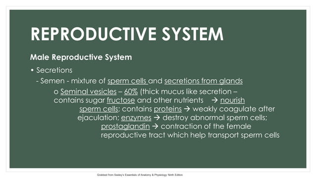 12_Reproductive System_1.pdf