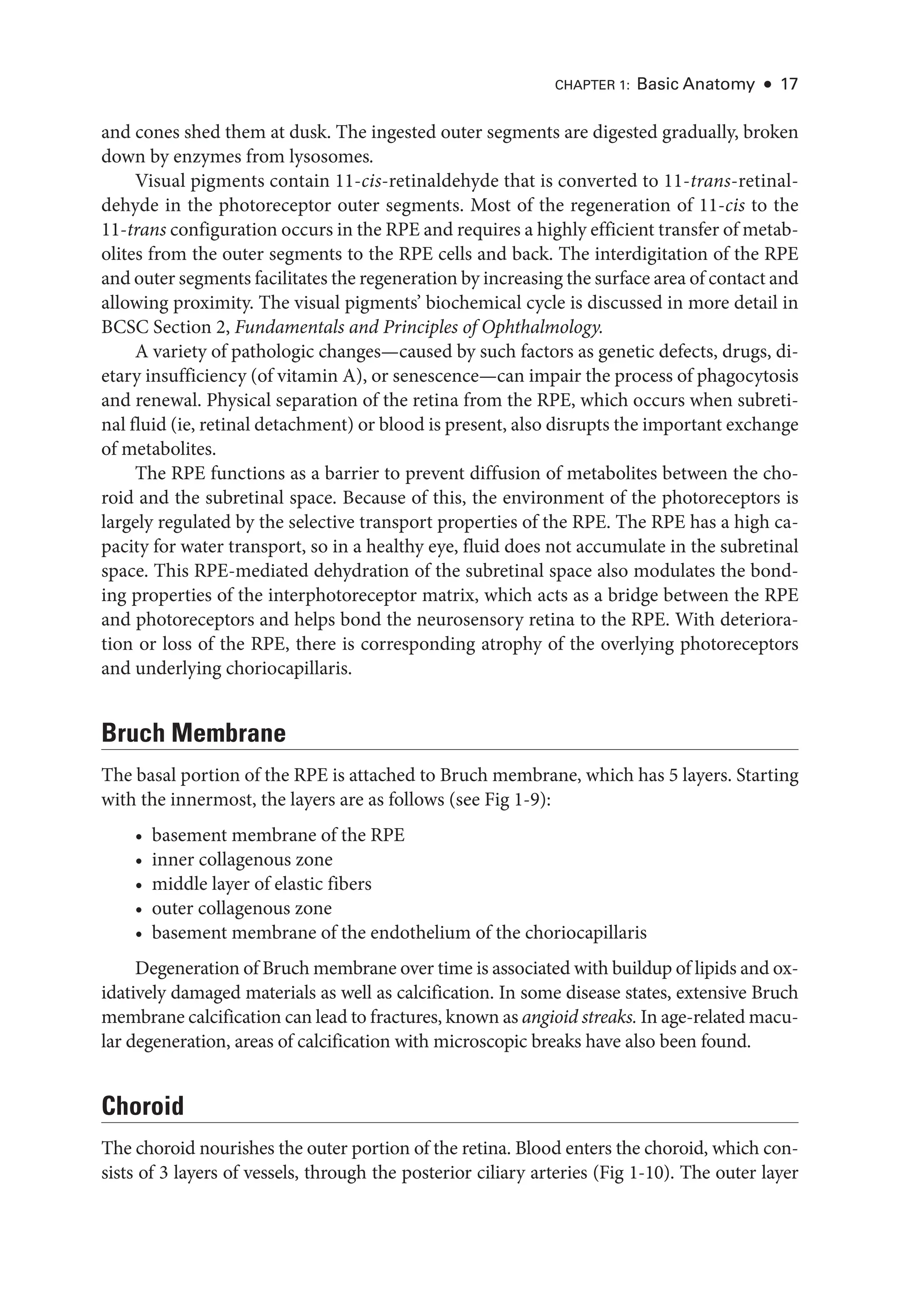 Retina and Vitreous .................... | PDF