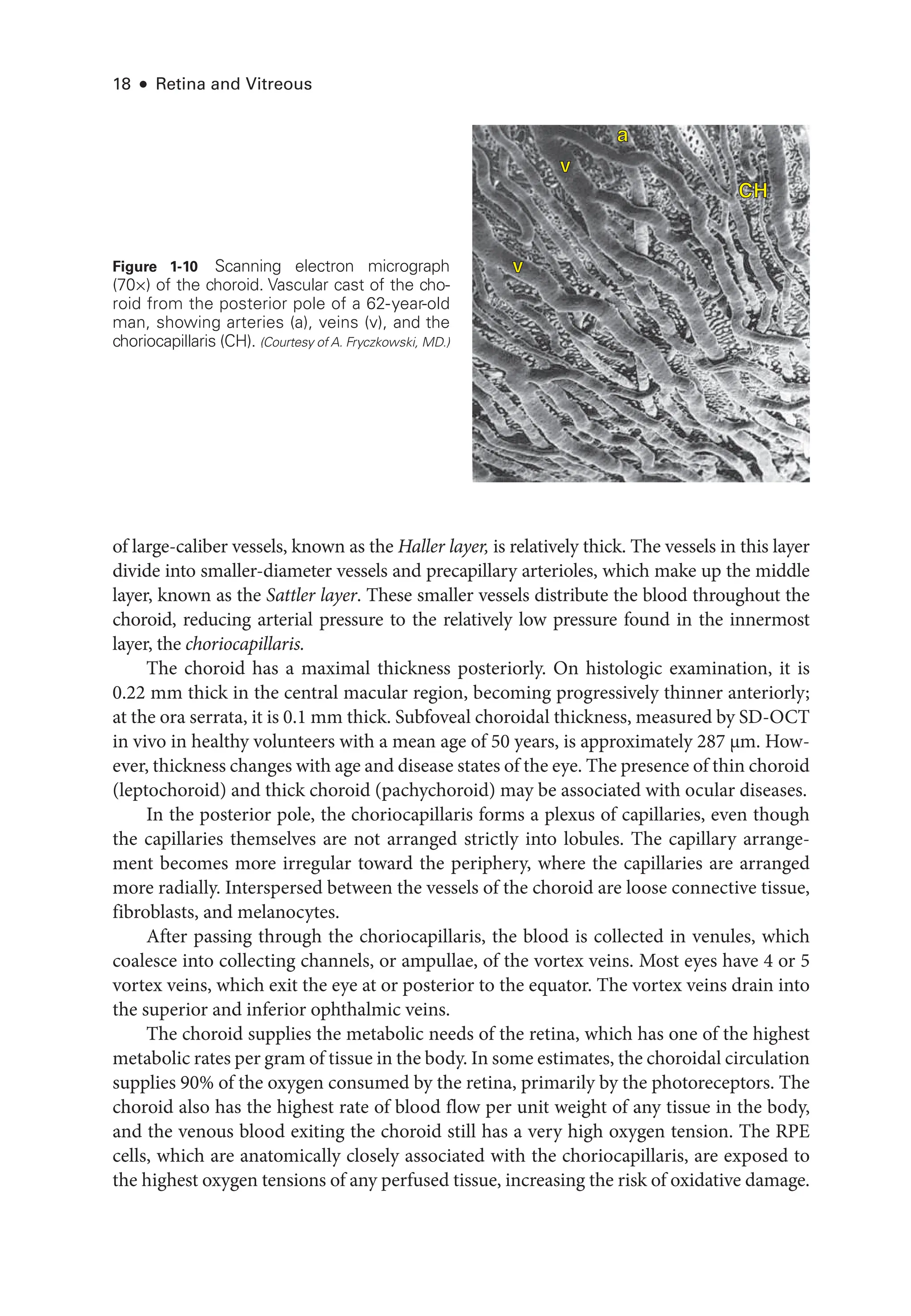 Retina and Vitreous .................... | PDF