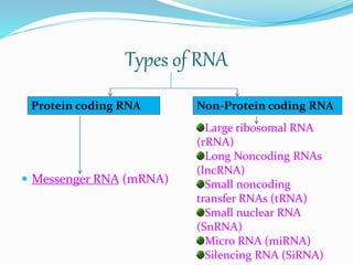 Types of RNA | PPTX