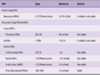 Types of RNA | PPTX