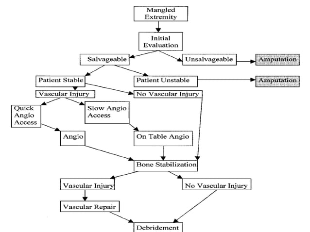 12 rw principles of mangled extremity management | PPTX