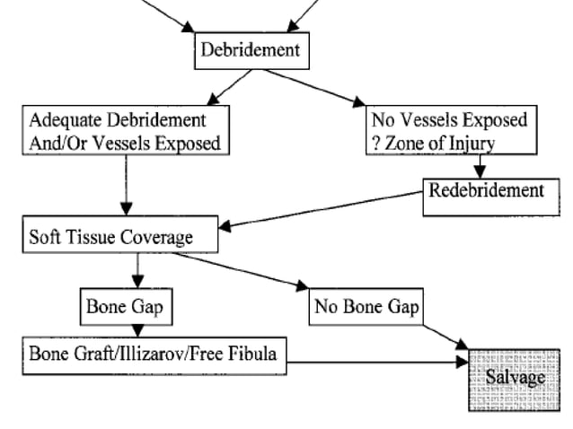 12 rw principles of mangled extremity management | PPTX