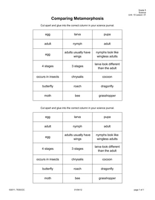 12 s051001 a_comparing metamorphosis | PDF