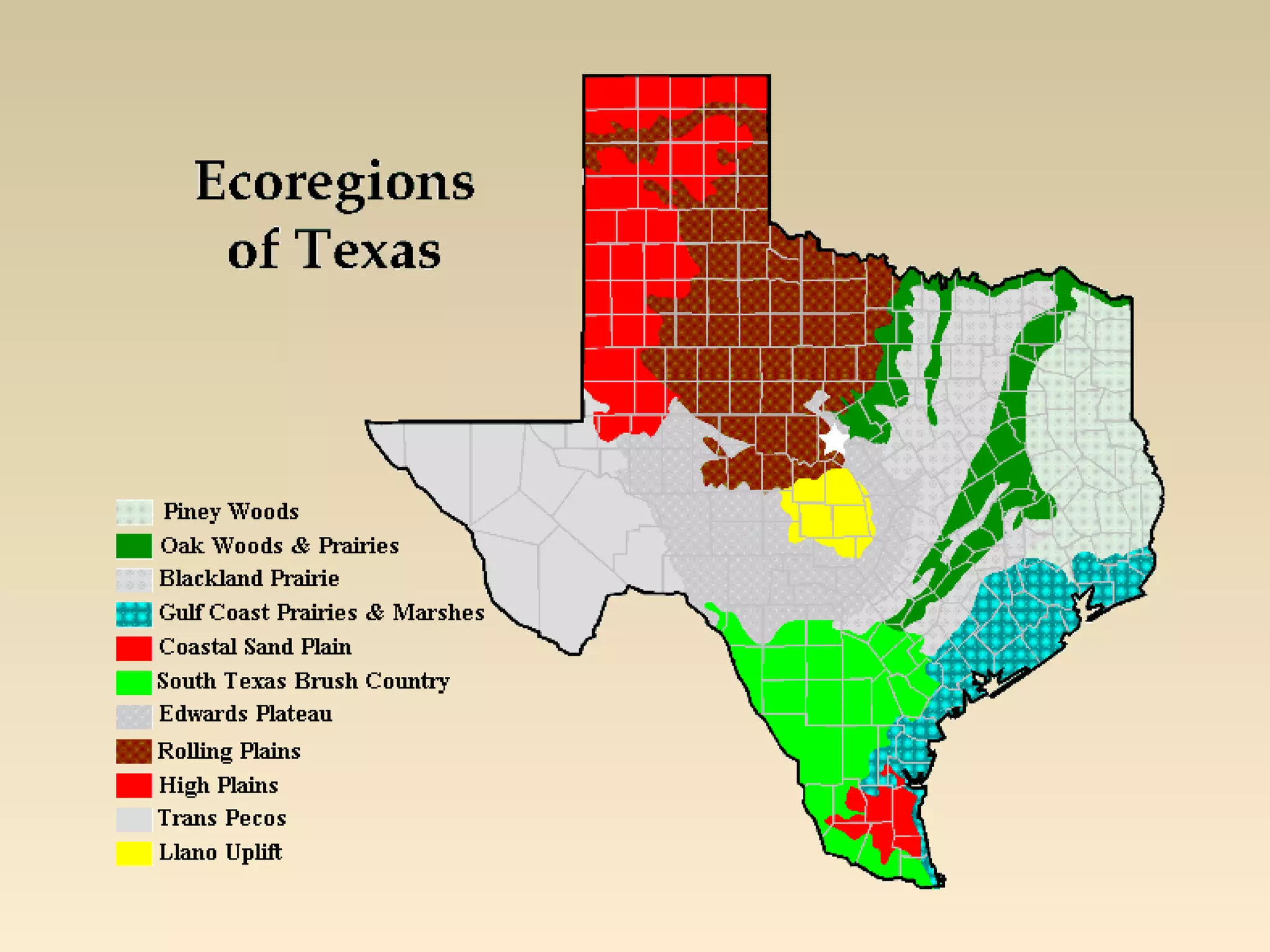 12 s070502 h_ecoregions of texas ppt1(1) | PPT