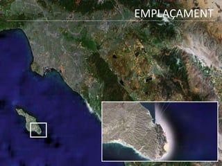 Schindler Wolfe2 | PPT