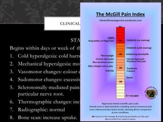 Rsd Pain Chart