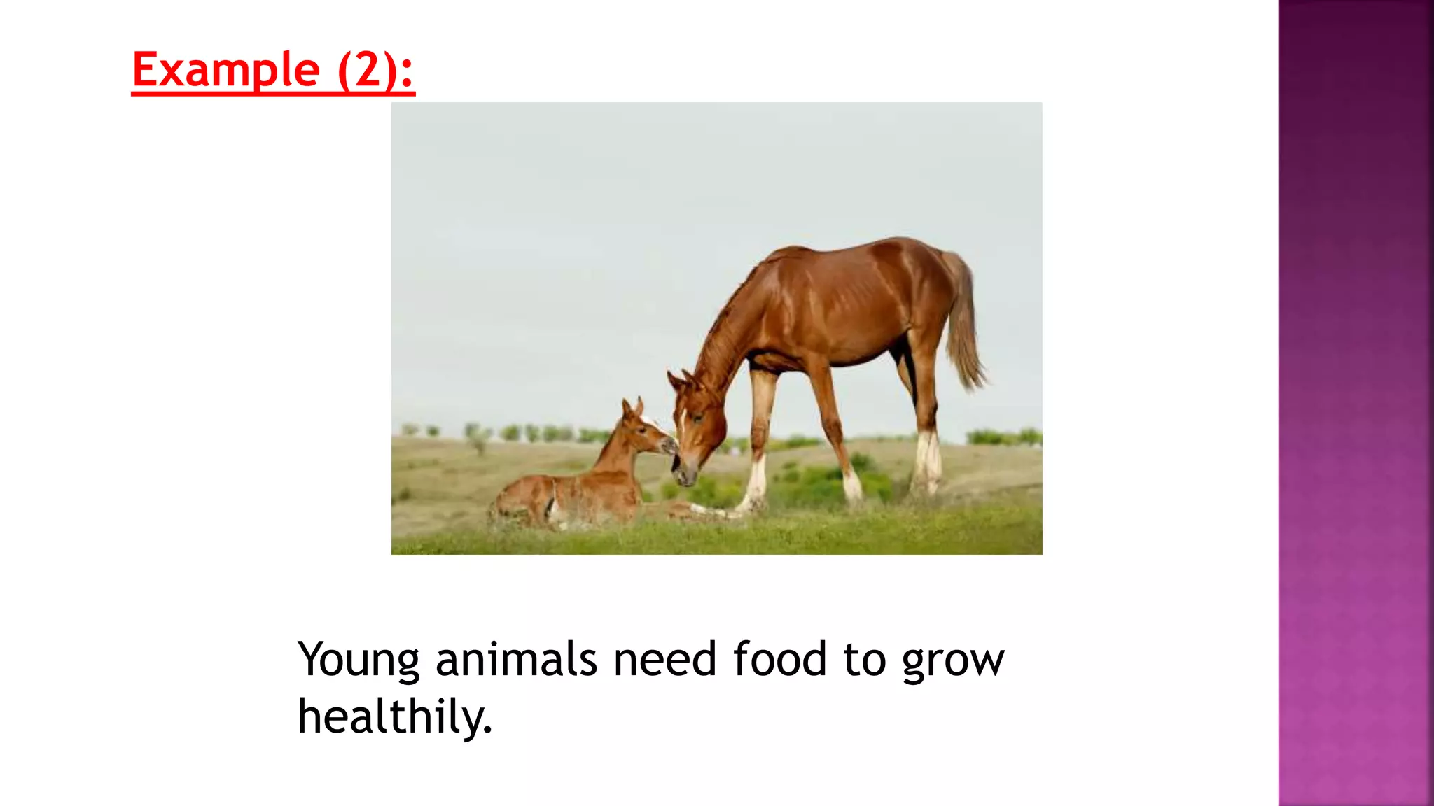 12 seven characteristics of living organism. | PPTX
