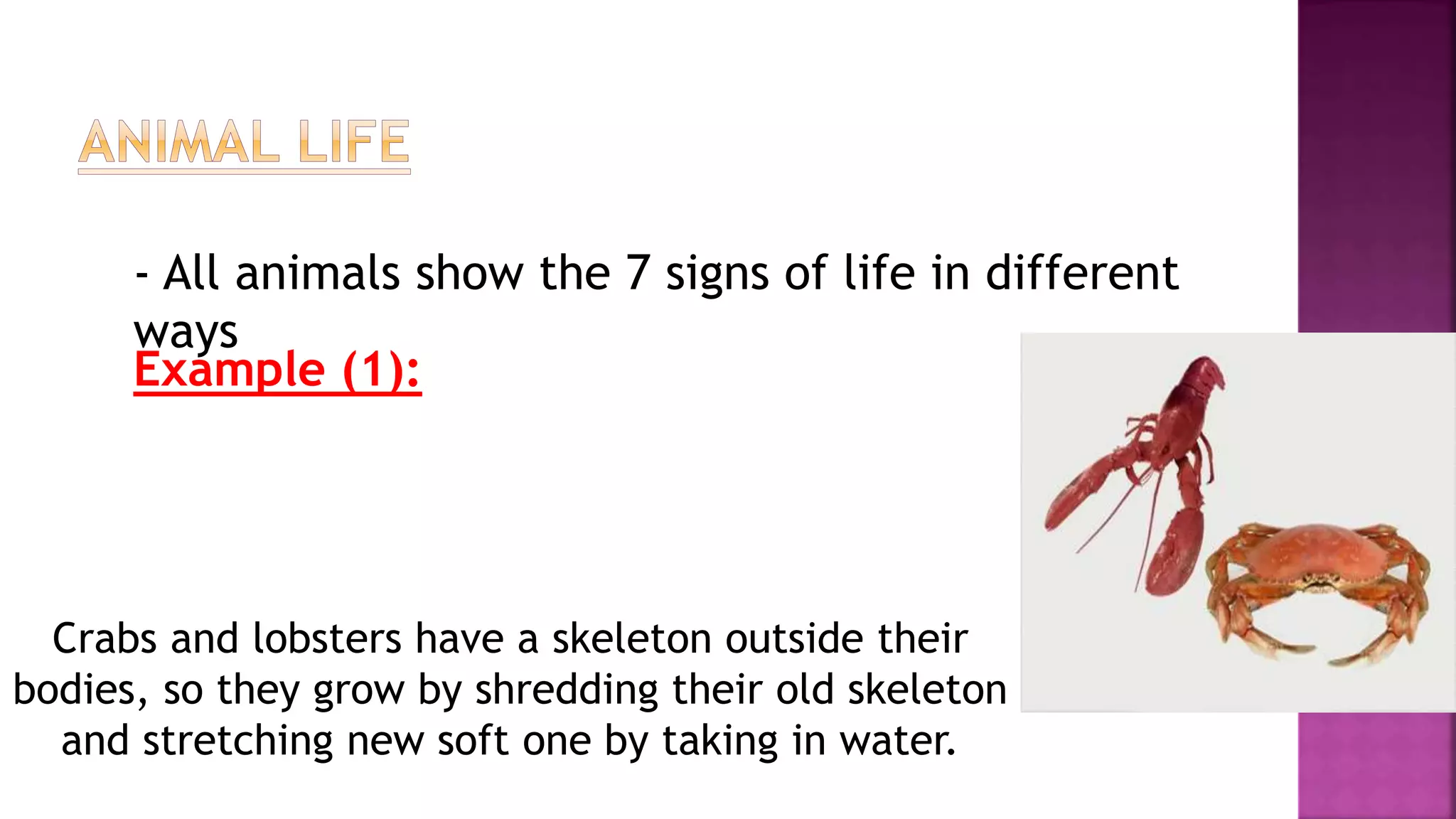 12 seven characteristics of living organism. | PPTX