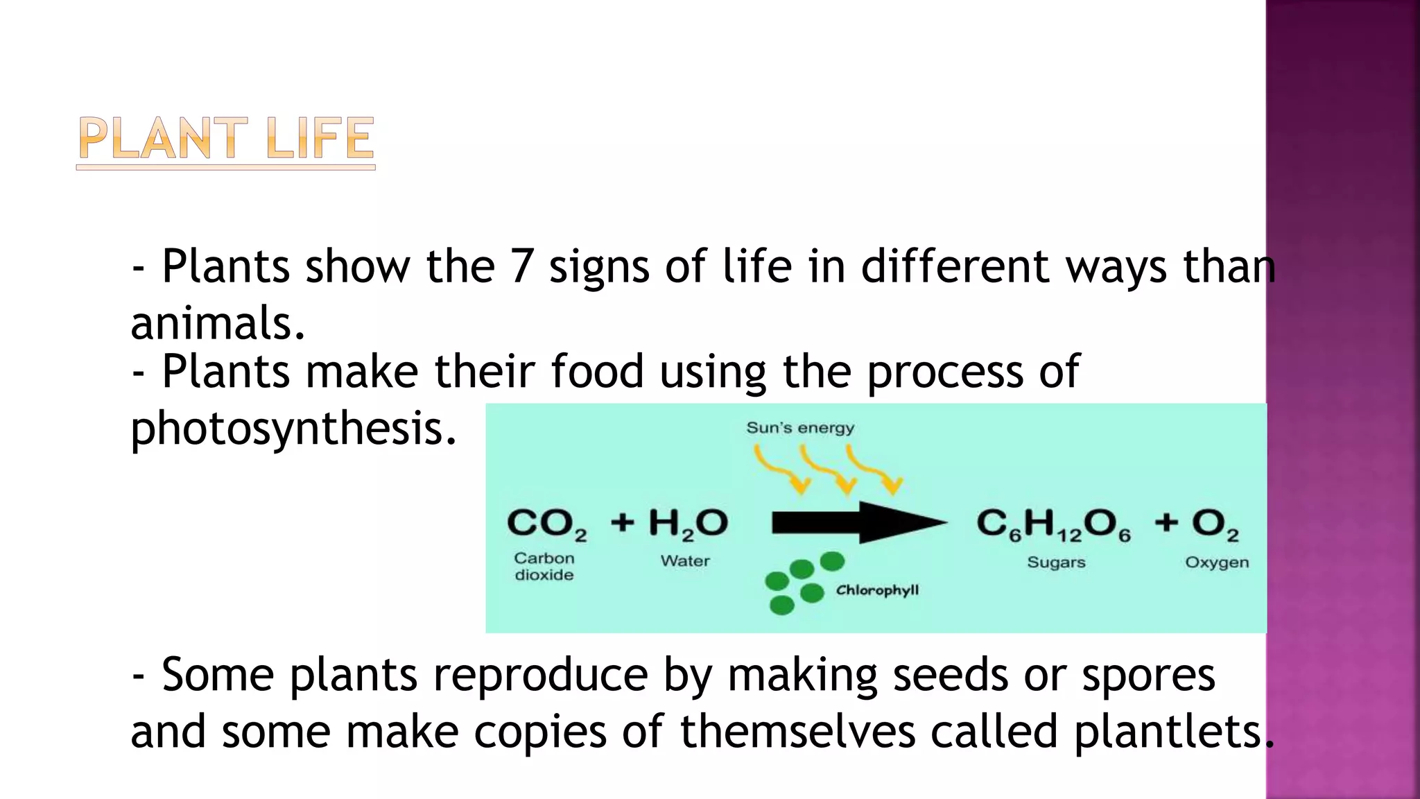 12 seven characteristics of living organism. | PPTX