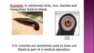 12 seven characteristics of living organism. | PPTX
