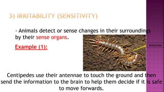 12 seven characteristics of living organism. | PPTX