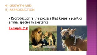 12 seven characteristics of living organism. | PPTX