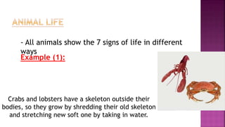 12 seven characteristics of living organism. | PPTX