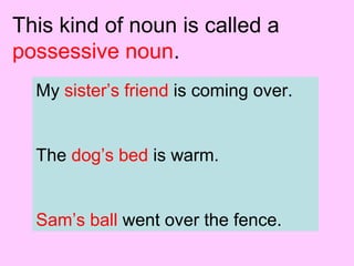 12 singular possessive nouns | PPT