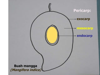 PPT Morfologi Tumbuhan - Bunga | PPTX