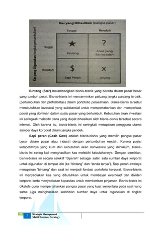 MULTI BUSINESS STRATEGY | PDF