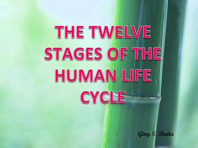 12 STAGES OF HUMAN DEVELOPMENT | PDF