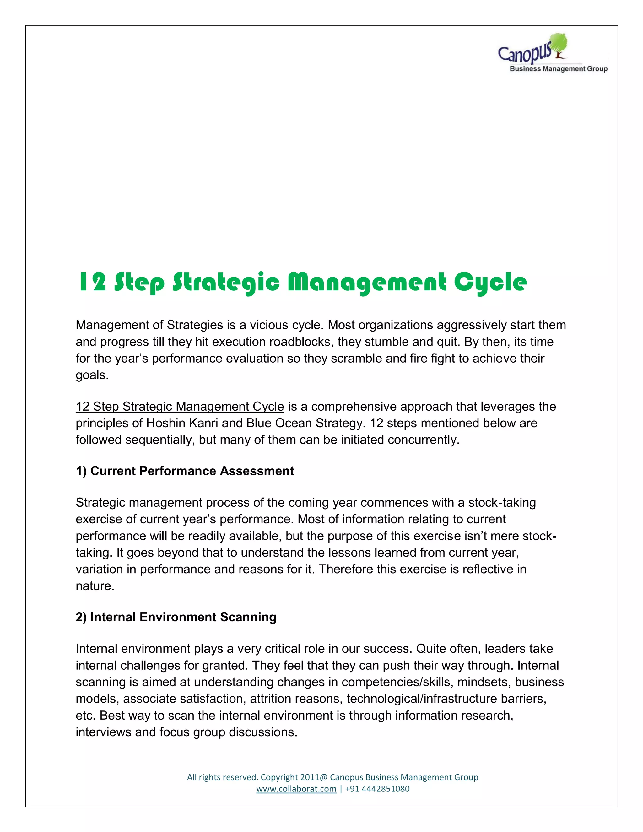 12 step Strategic Management Cycle | PDF