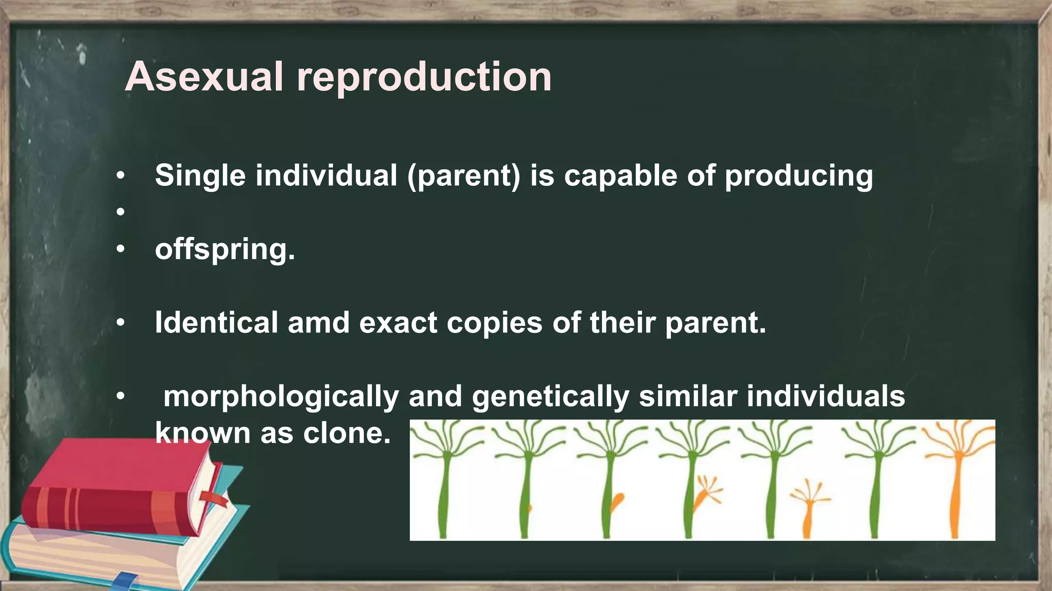 Asexual reproduction, reproduction in organisms, neet biology | PPT