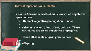 Asexual reproduction, reproduction in organisms, neet biology | PPT