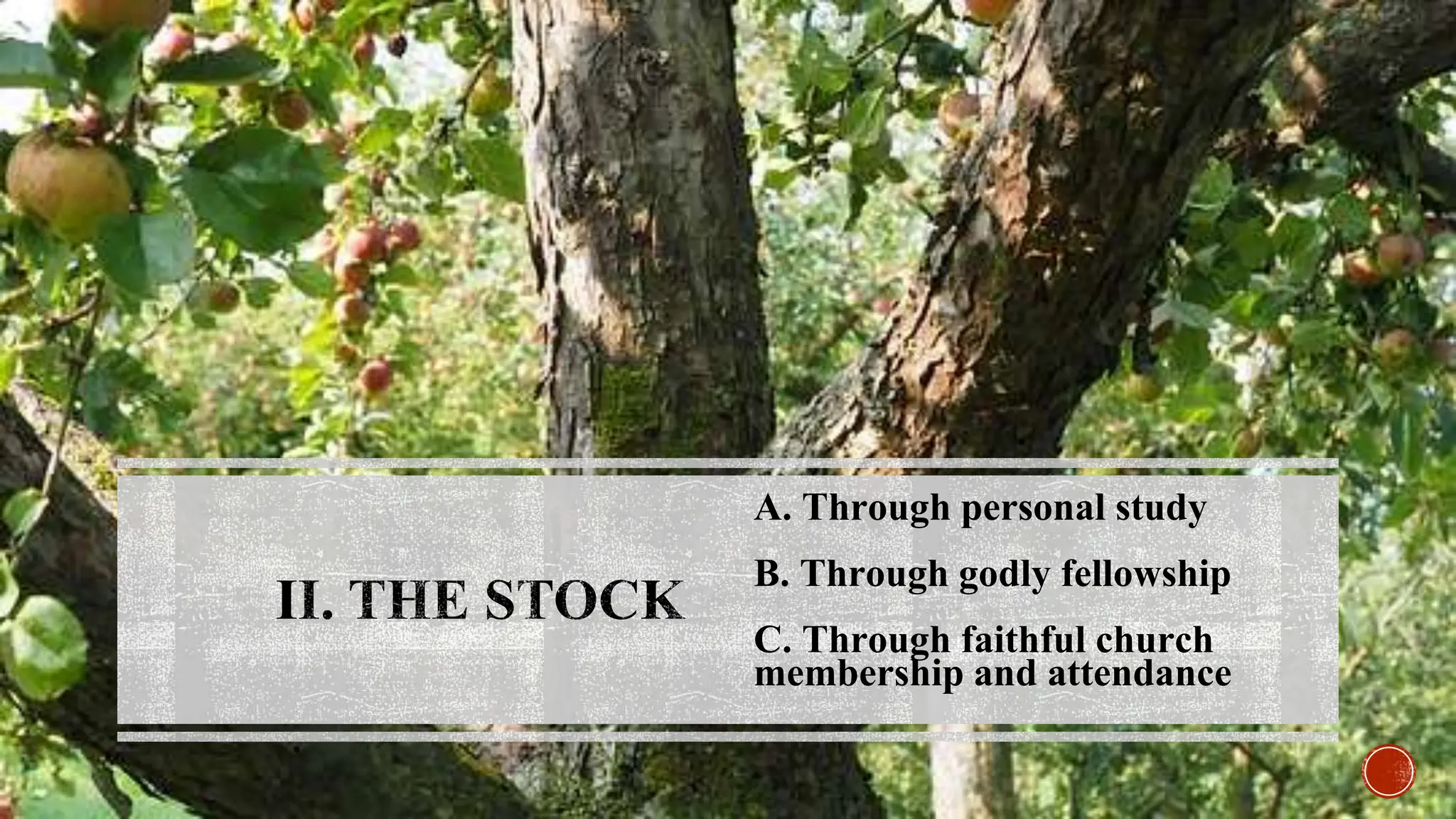 Matthew 5v1-12 Phases of Fruitfulness.pptx