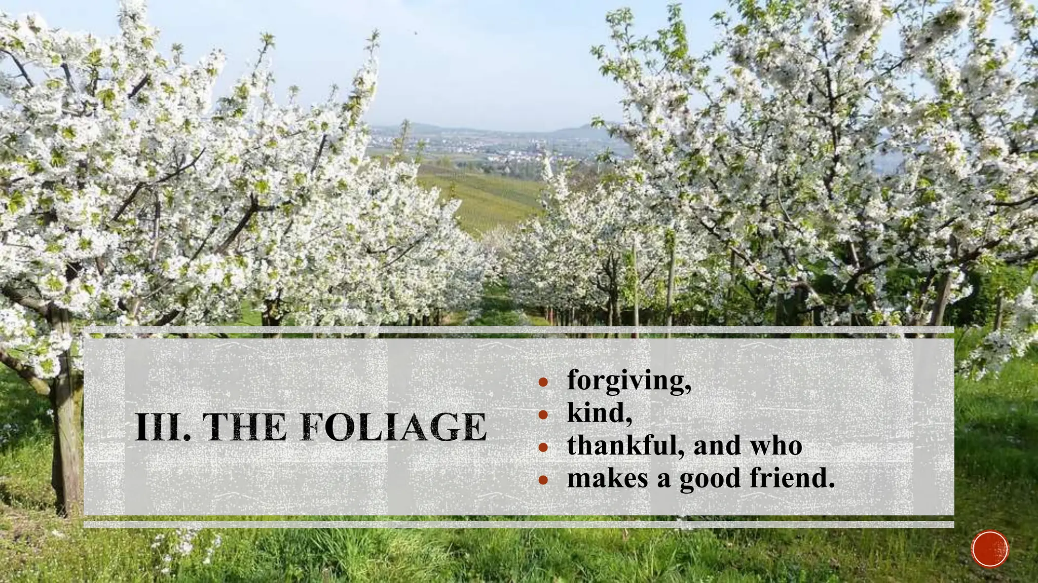 Matthew 5v1-12 Phases of Fruitfulness.pptx