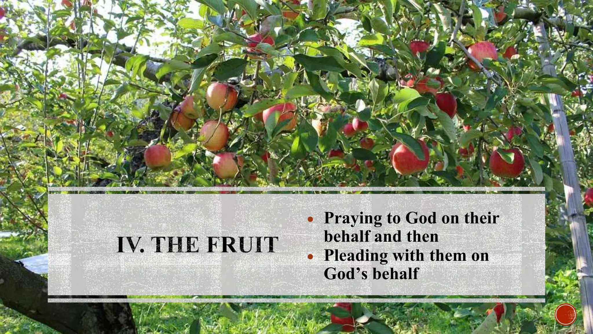 Matthew 5v1-12 Phases of Fruitfulness.pptx