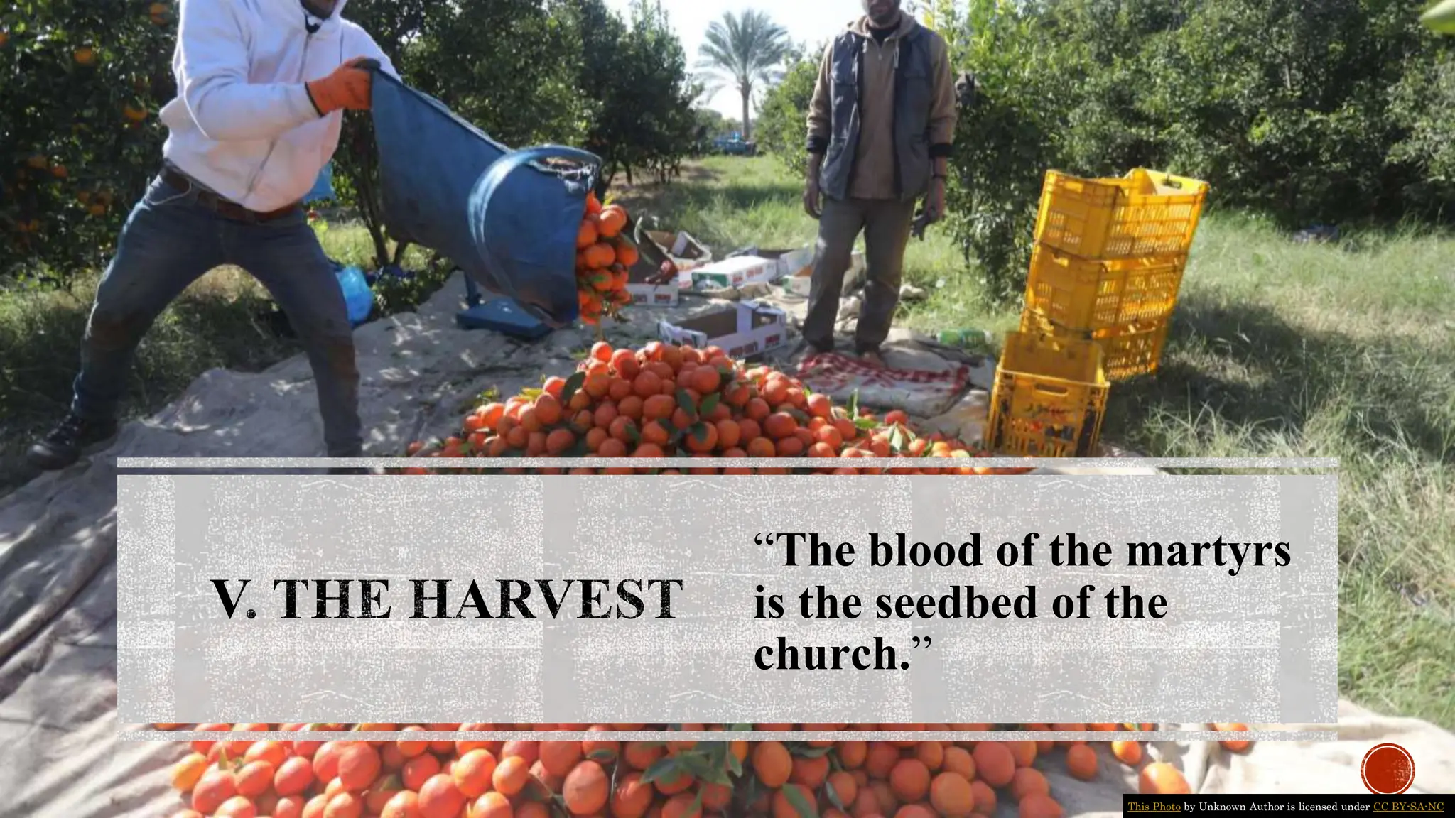 Matthew 5v1-12 Phases of Fruitfulness.pptx