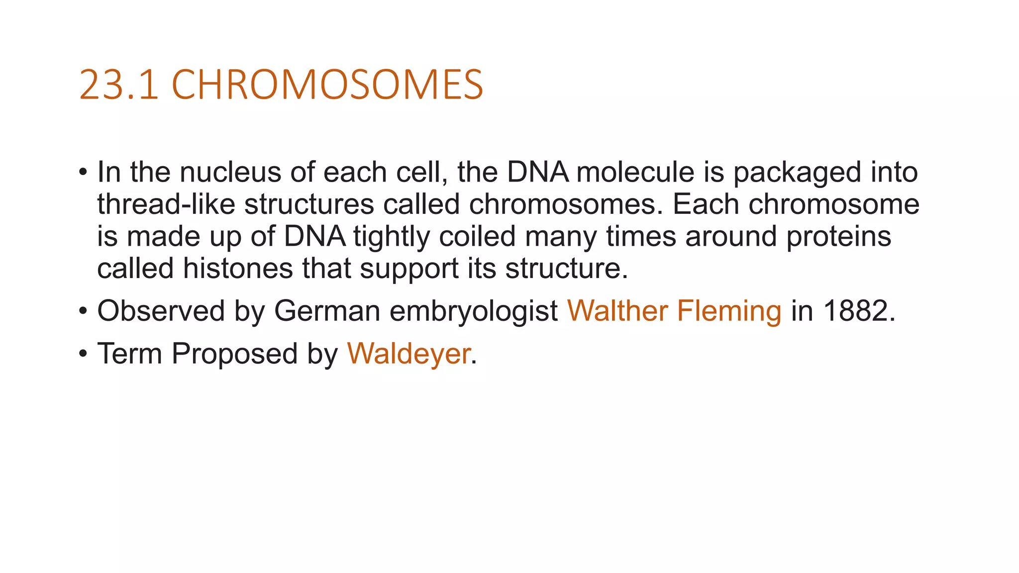 chromosomes and DNA | PPTX