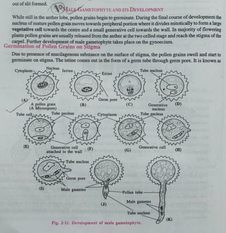 12th Bio Chapter 2 notes of cbseboard.pdf