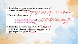 12th Biology Biotechnology Principles and Processes Part 2 | PDF