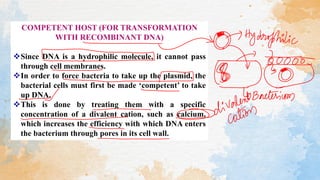 12th Biology Biotechnology Principles and Processes Part 3 | PPT