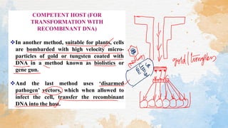 12th Biology Biotechnology Principles and Processes Part 3 | PPT