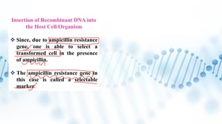12th Biology Biotechnology Principles and Processes Part 4 | PPT